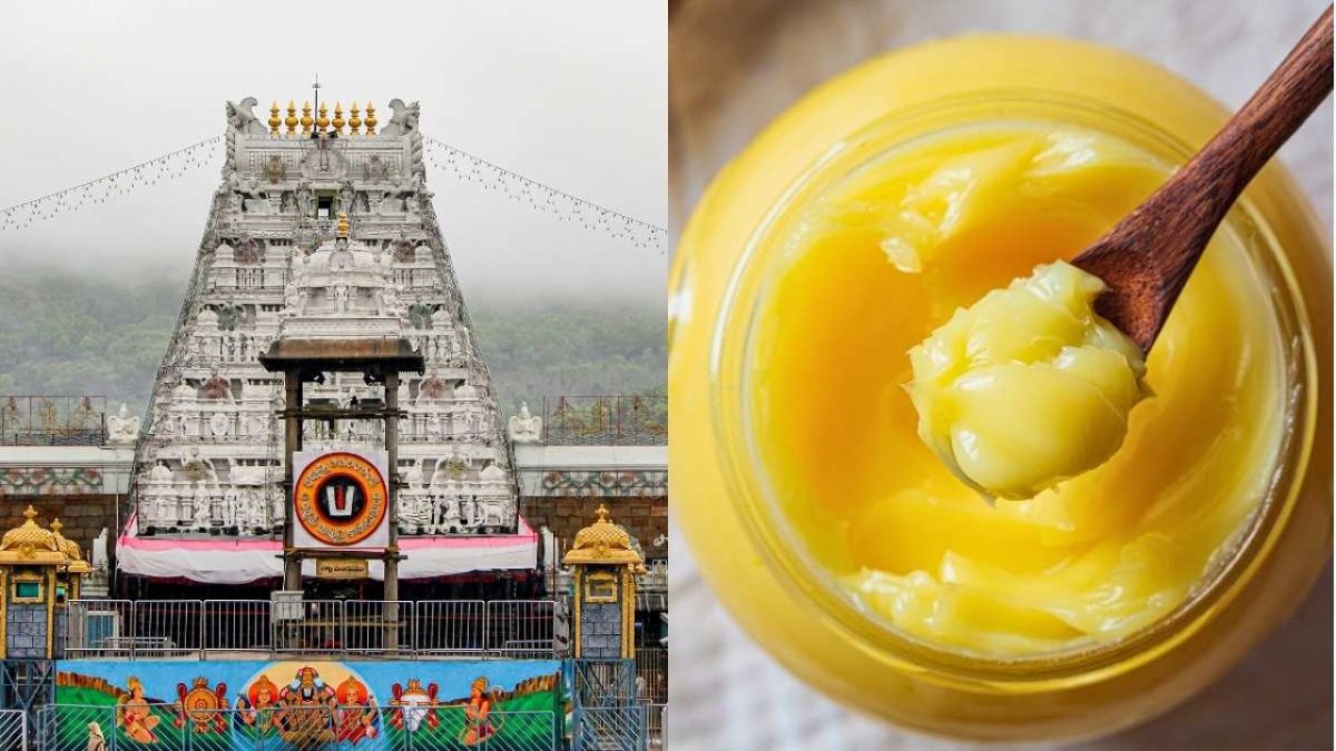 SIT Uncovers ₹250 Crore Adulterated Ghee Scam at Tirumala Temple ...